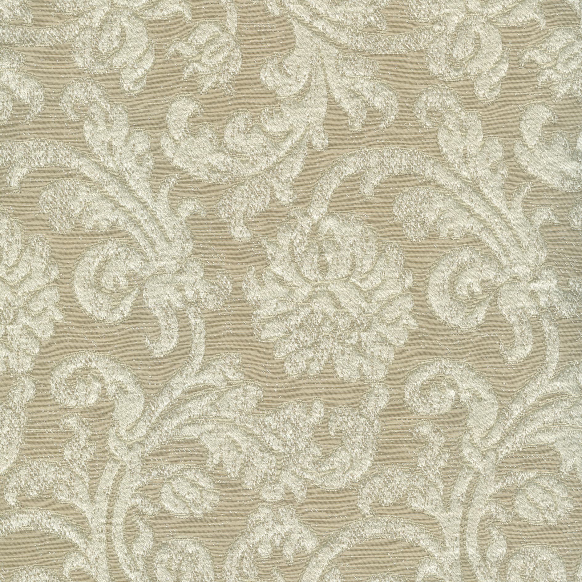 Semper augustus. Brocatelle. Rubelli