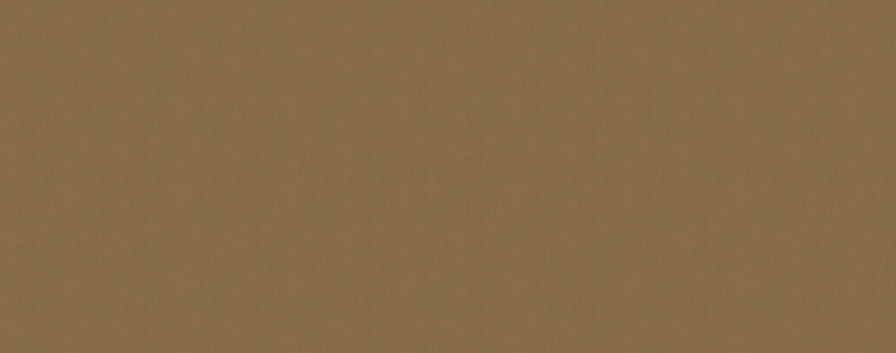 Victoria. Silk satin. Rubelli